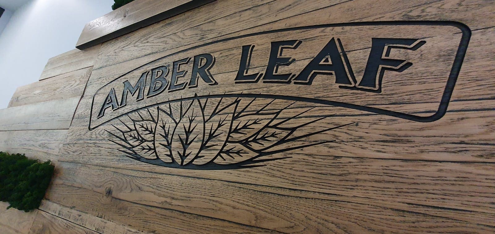 JTI | Branding Case Study | Vision Branding